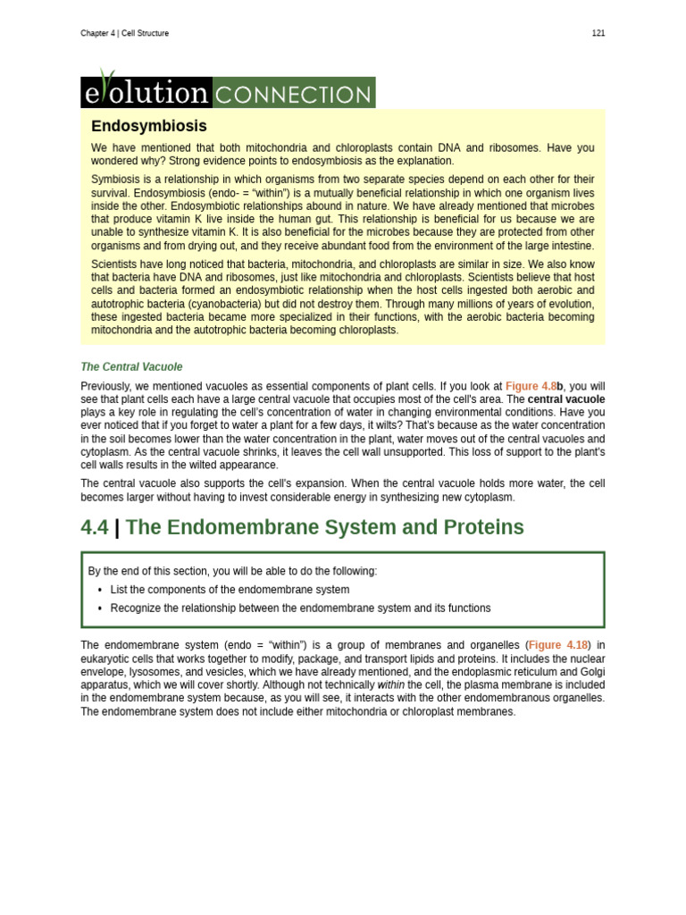 4.4 The Endomembrane System and Proteins | PDF | Endoplasmic Reticulum | Cell Membrane