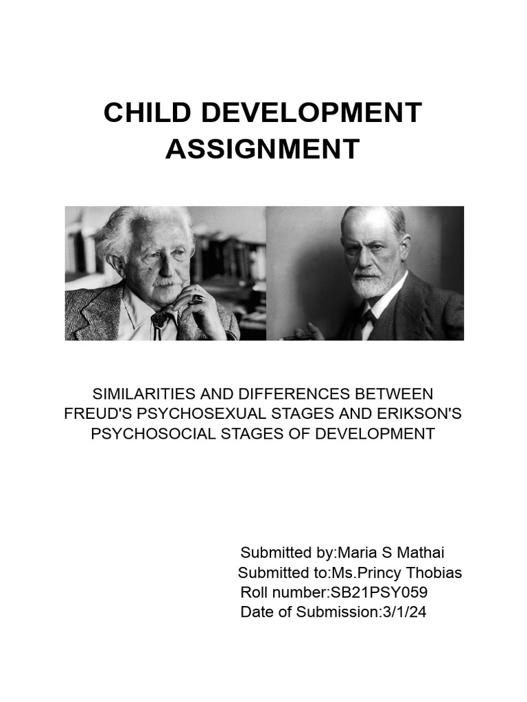 Child Development Assignment | PDF | Developmental Psychology | Child ...