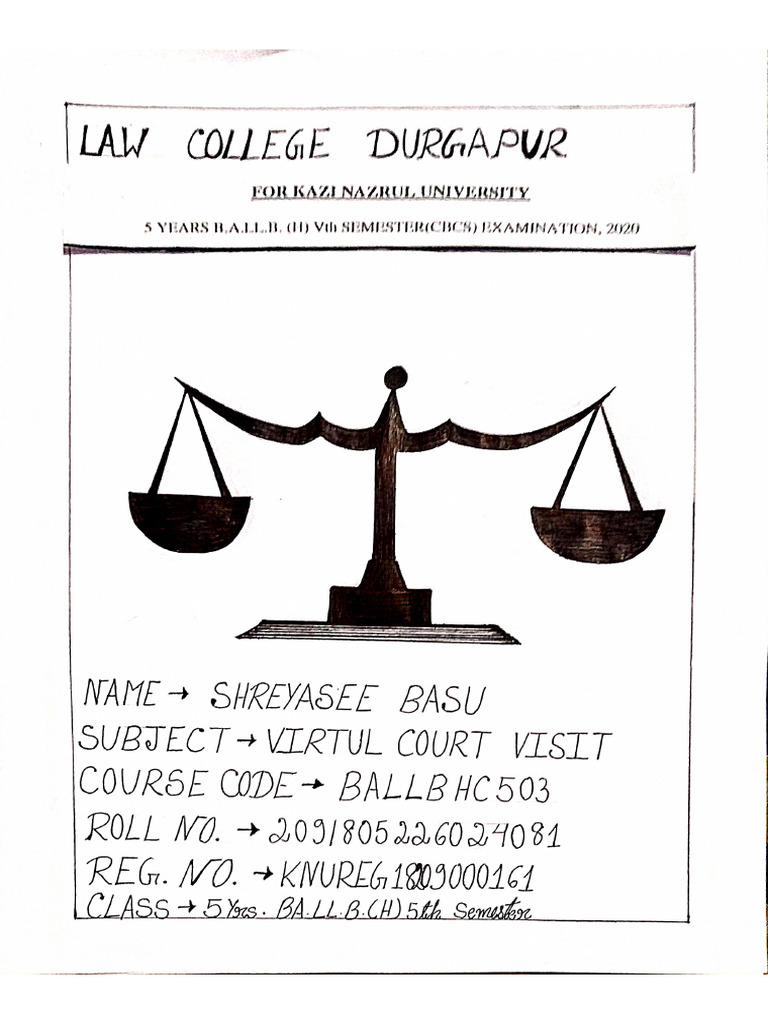 Virtual Court Visit Report | PDF