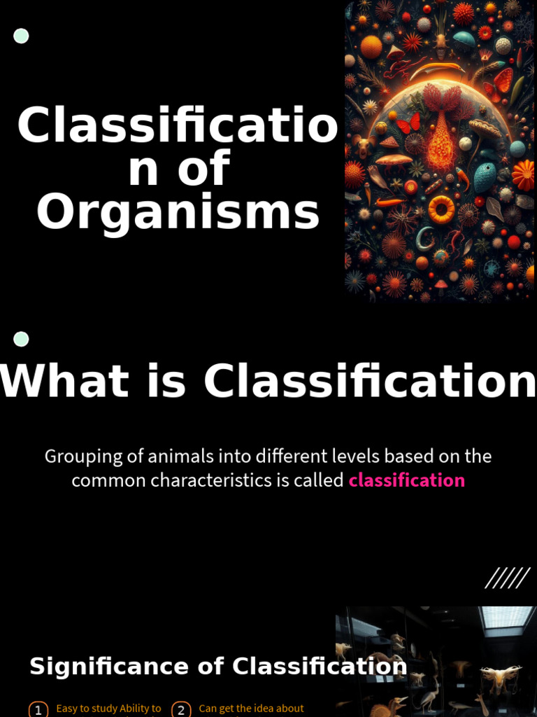 Organism Classification Explained | PDF | Taxonomy (Biology) | Eukaryotes