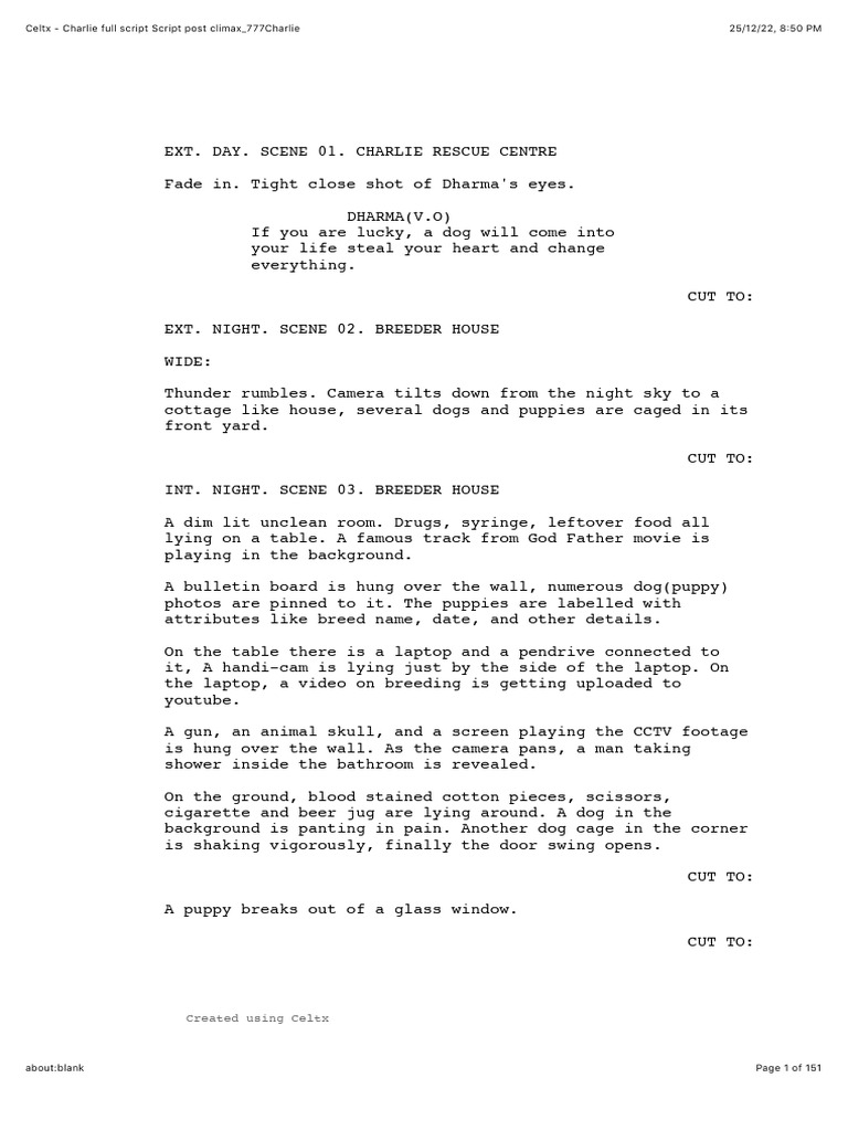 777 Charlie Full English Script | PDF