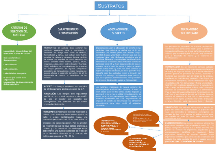 Preparacion de Sustratos | PDF | Hongo | Fermentación