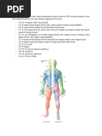 Peta Dermatome dan Inervasi Saraf | PDF