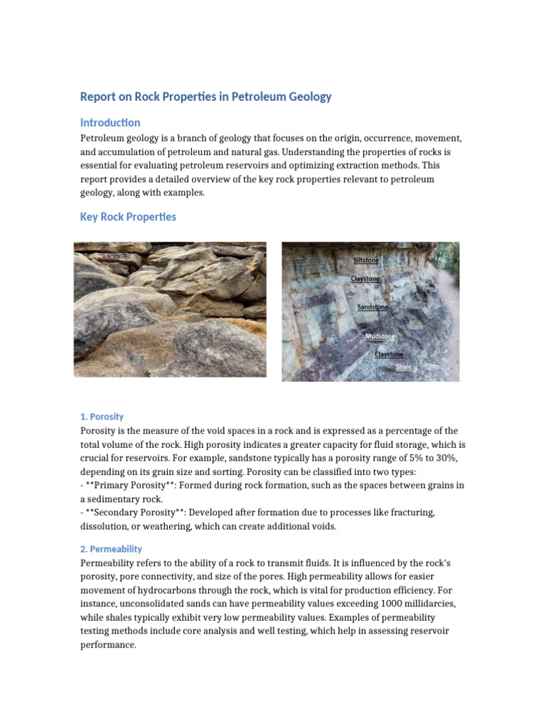 Petroleum Rock Properties Detailed Report | PDF | Porosity | Petroleum ...