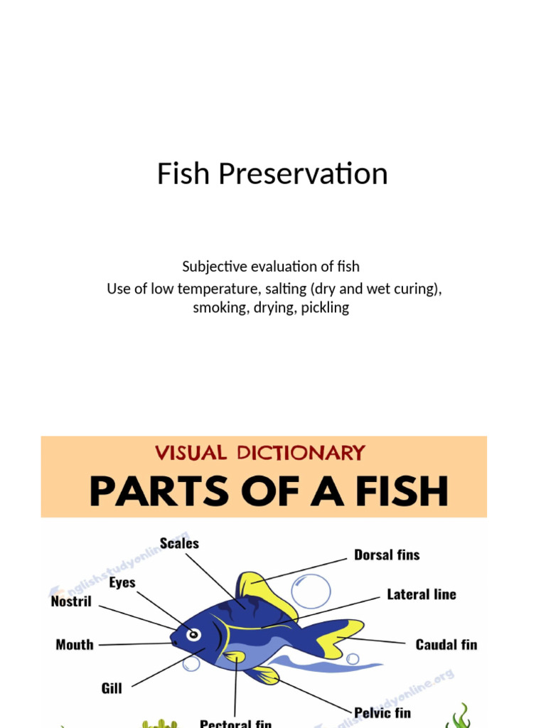 Fish Preservation | PDF | Decomposition | Food Preservation