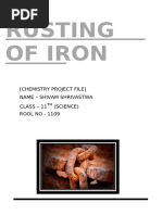 Rusting of Iron - Project | PDF | Rust | Iron