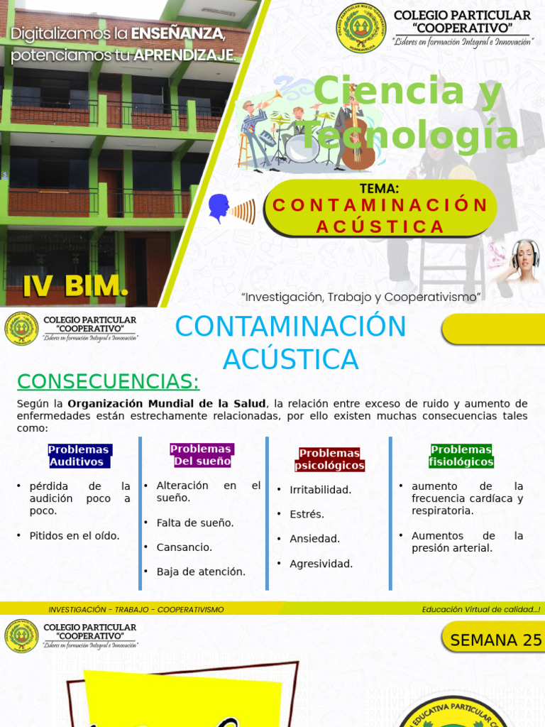 Efectos de la Contaminación Acústica | PDF