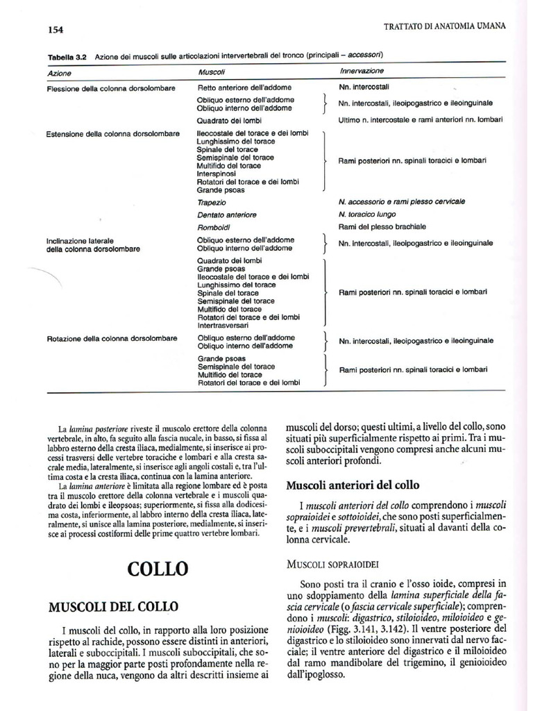 Giuseppe Anastasi Anatomia Umana Trattato Vol 1 3 12006, Edi Ermes | PDF