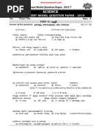 The Infinity Breath 2017 | PDF | Breathing | Chakra