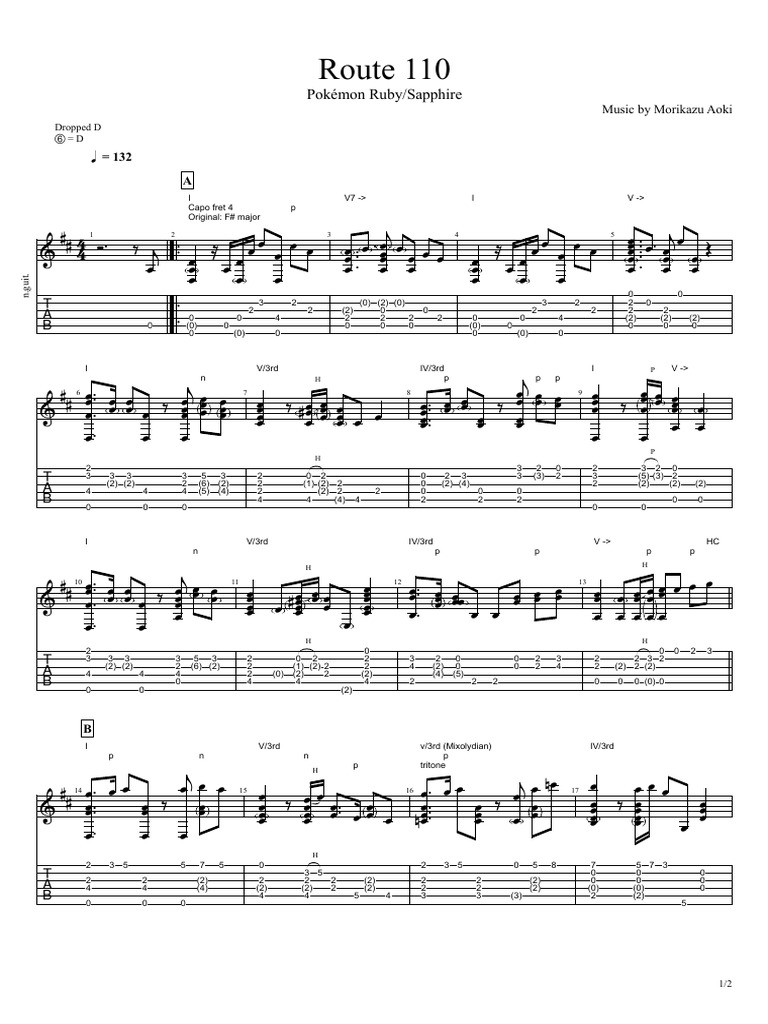 Route 110 Pokemon Ruby Sapphire | PDF | Video Games | Nintendo Franchises