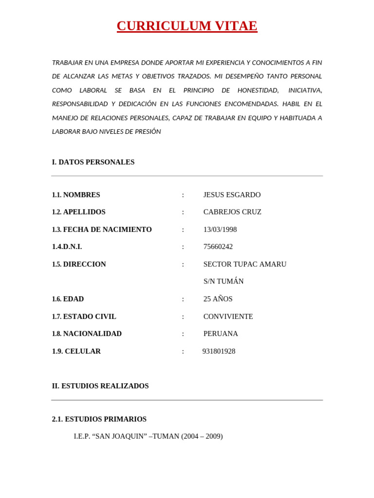 CV Jesus Actualizado | PDF