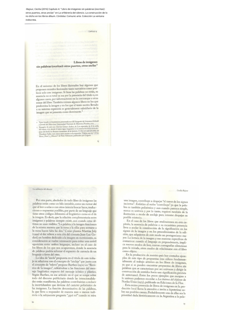 03 Bajour Libros de Imagenes Sin Palabras | PDF | Libros para adolescentes