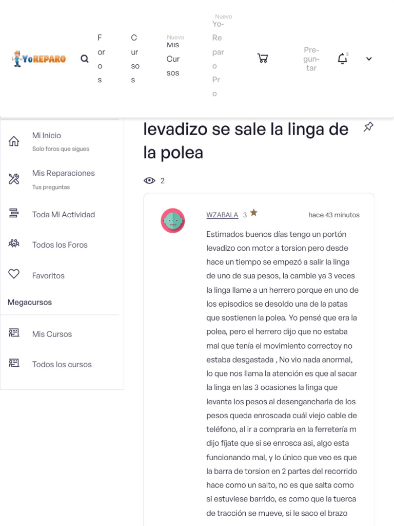 Problema Con Portón Levadizo Se Sale La Linga de La Polea - YoReparo | PDF