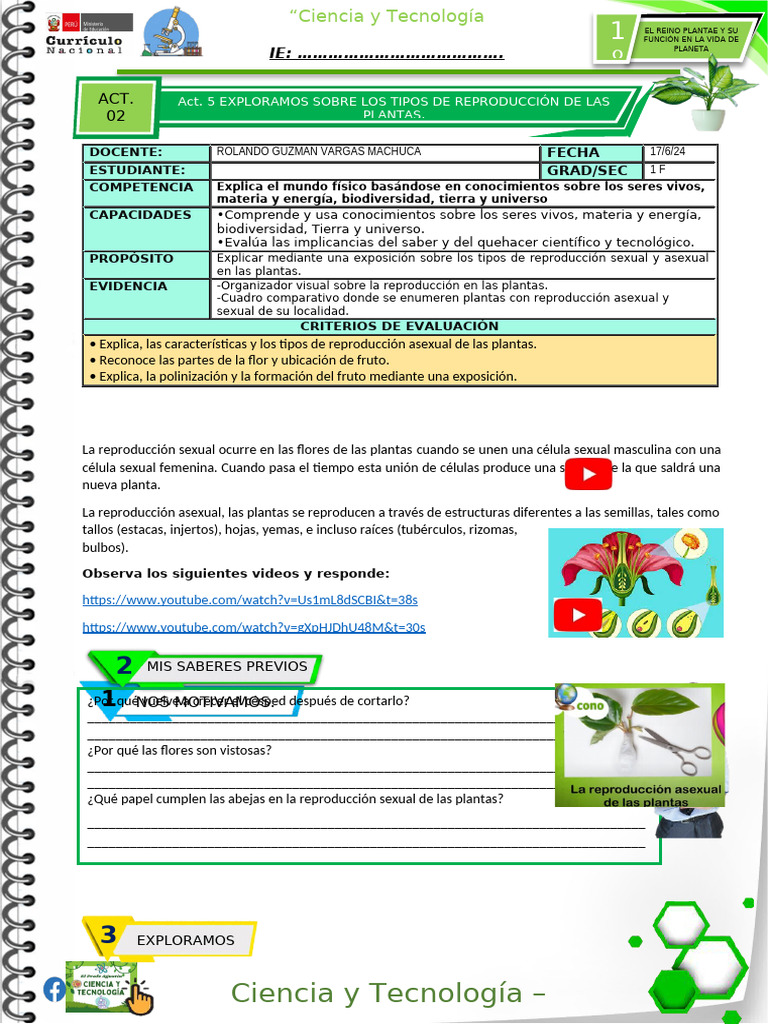 D-1º Act 5 Cyt Unid 2 - Sem 4 | PDF