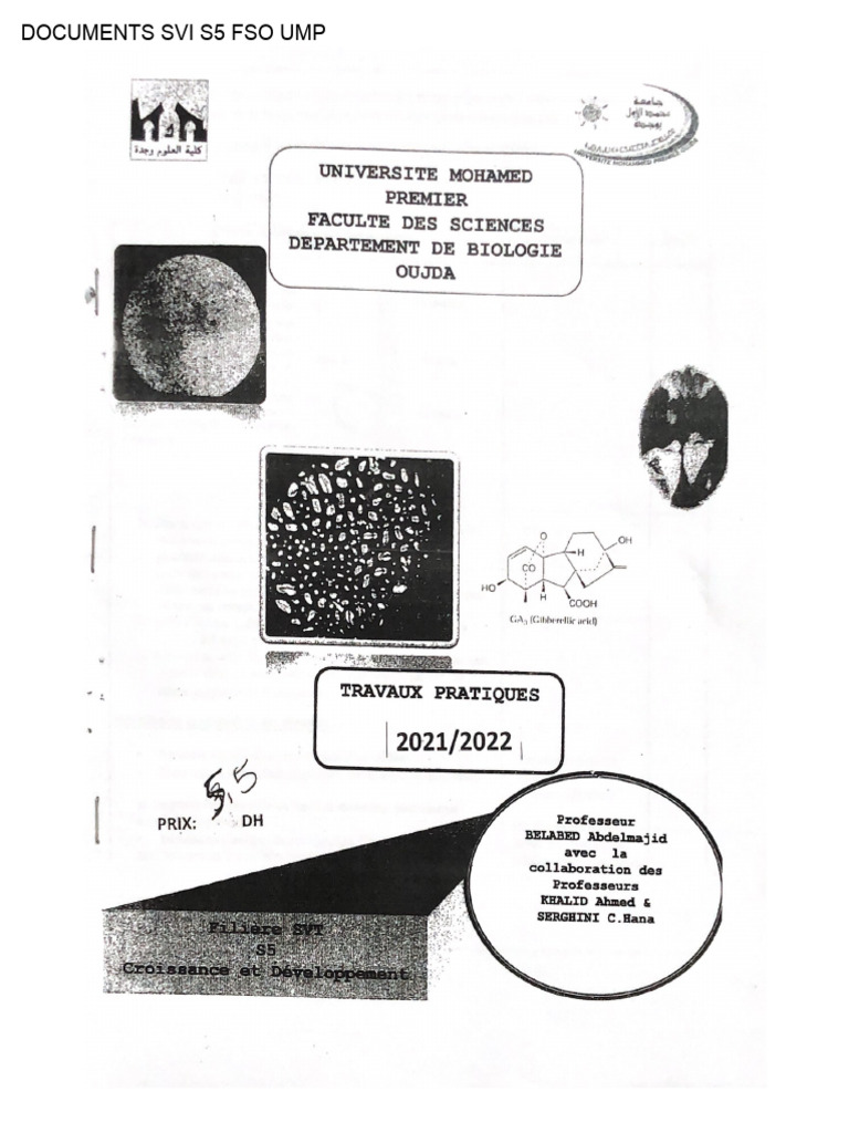 SVI S5 FSO UMP Documents | PDF