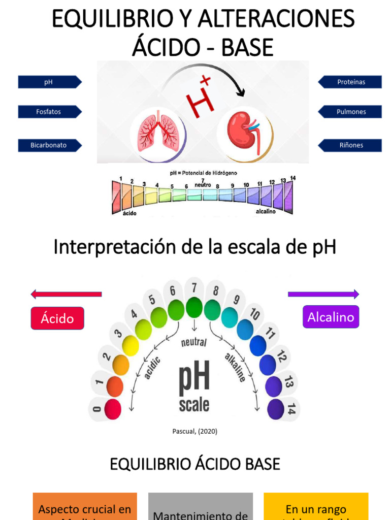 Mantenimiento del Equilibrio Ácido-Base | PDF | Solución tampón ...