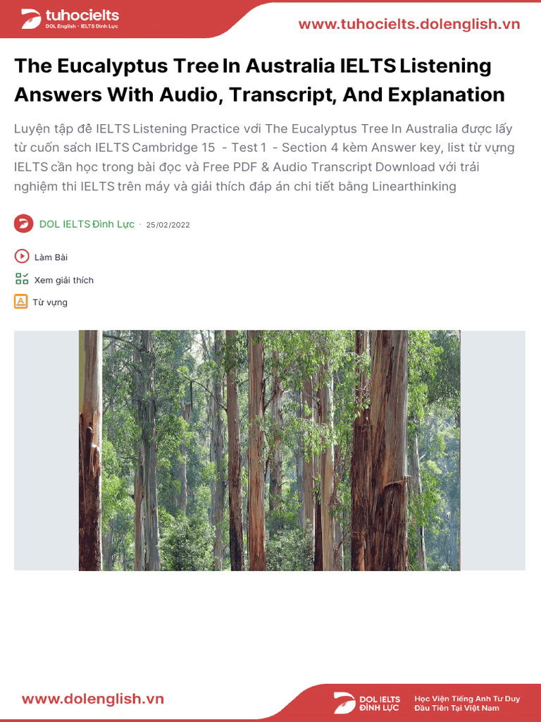 The_Eucalyptus_Tree_In_Australia | PDF | Trees | Eucalyptus