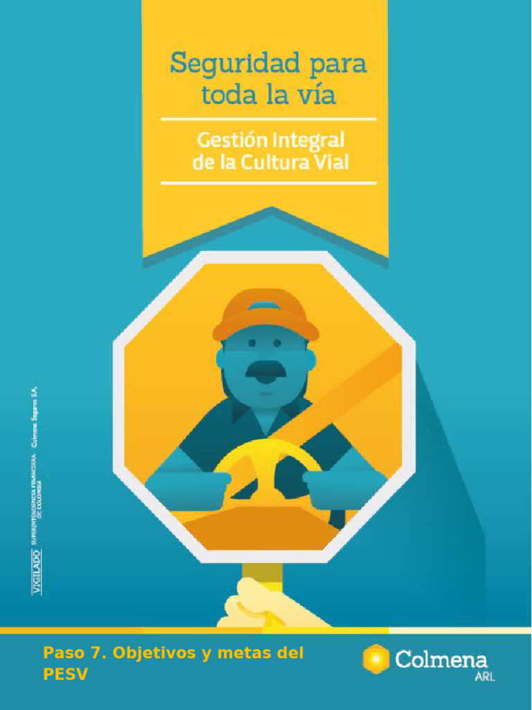 Paso 7. Objetivos y Metas Del PESV v2 | PDF | Seguridad vial | Business