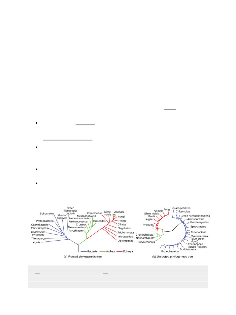 Phylogenetic tree_JJ2023 | PDF | Phylogenetic Tree | Taxonomy (Biology)