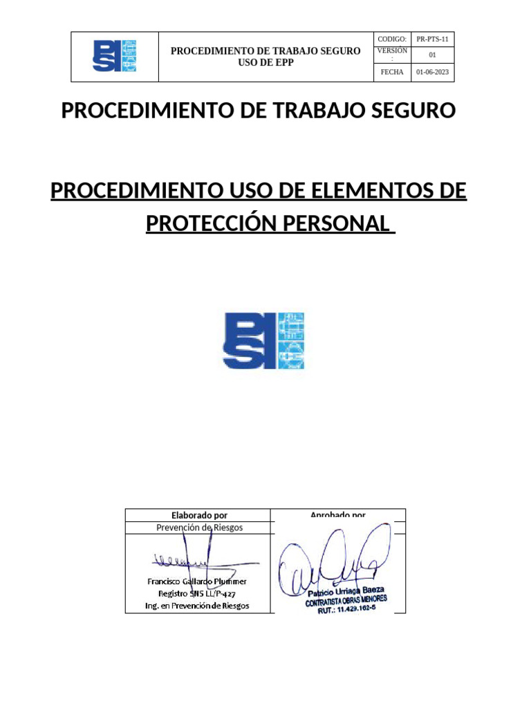 Procedimiento Epp | PDF | Business