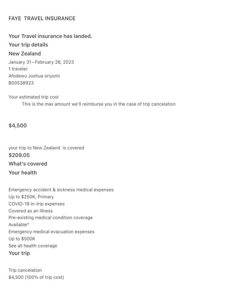 Faye Travel Insurance Coverage Overview | PDF