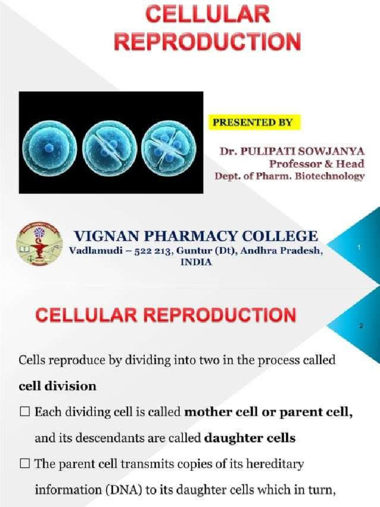 3RD Cellular Reproduction L1 | PDF