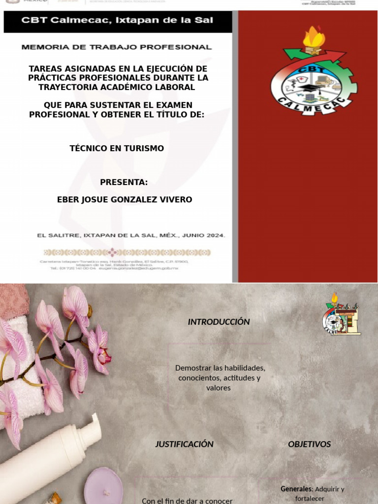 Presentacion Eber Josue Gonzalez Vivero. | PDF