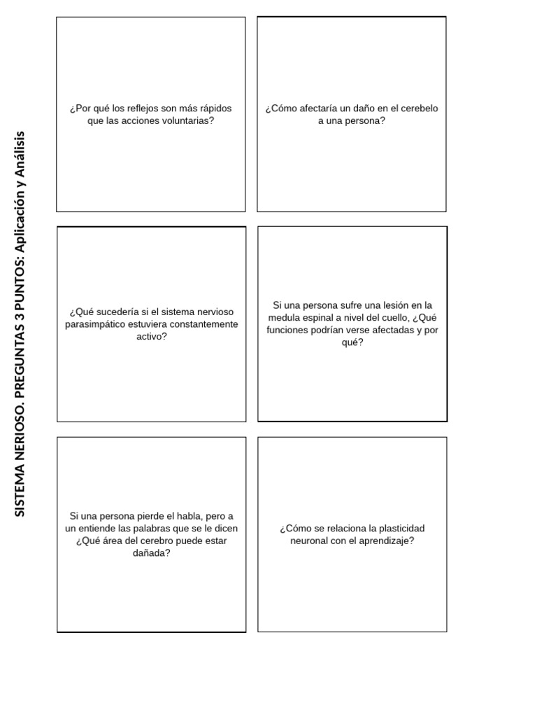 Plantillas Post It | PDF | Sistema nervioso | Cerebro