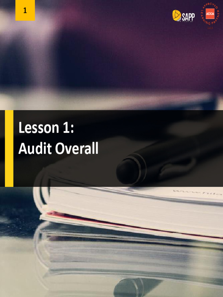 Lesson 1 Audit Overall | PDF | Audit | Business