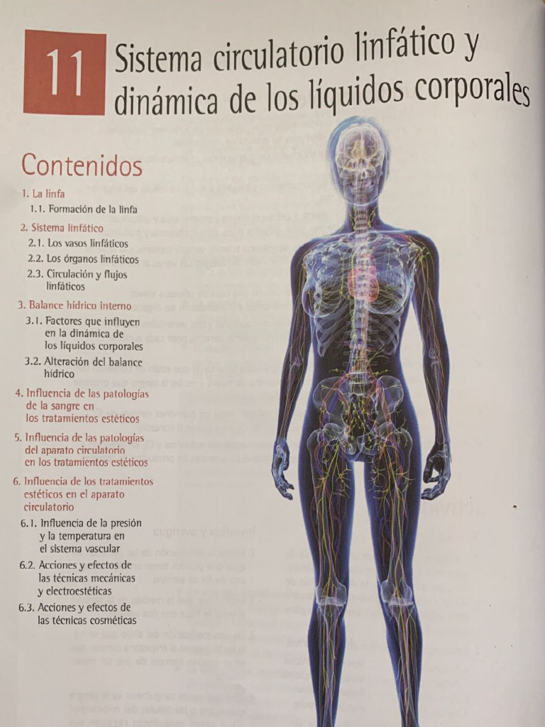 Libro Procesos-1 Páginas 147 - 157 | PDF