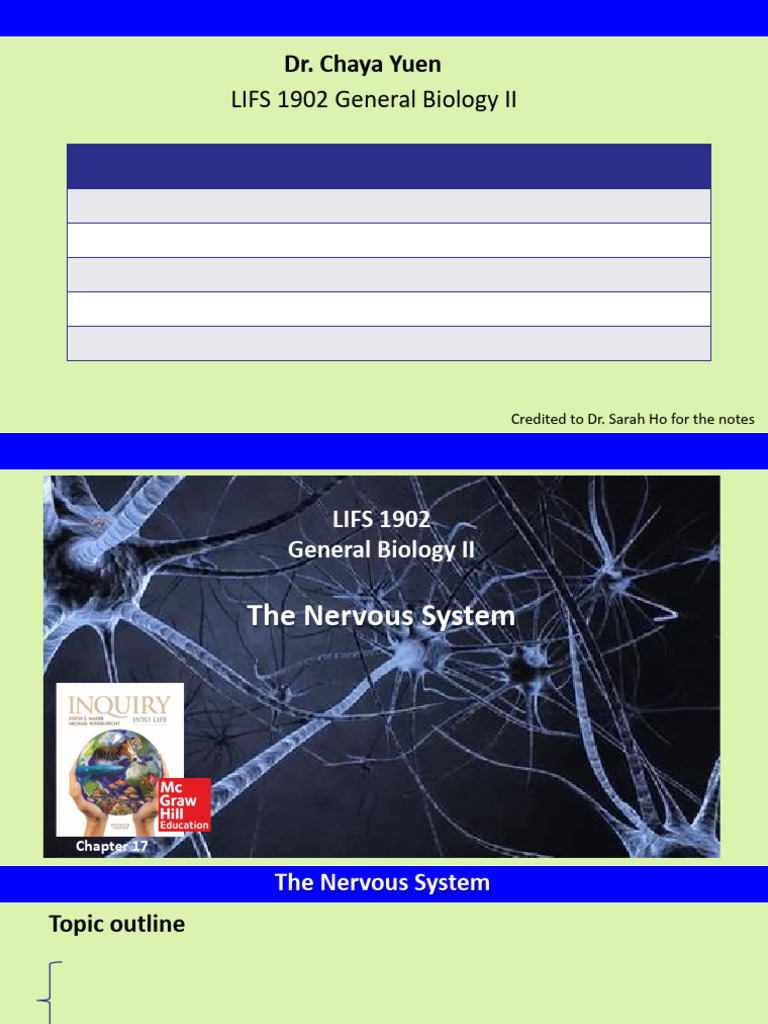 LIFS 1902 CY1 Nervous System | PDF | Action Potential | Nervous System