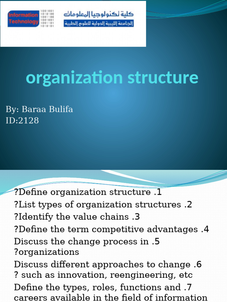 Organization Structure 3 | PDF | Outsourcing | Software