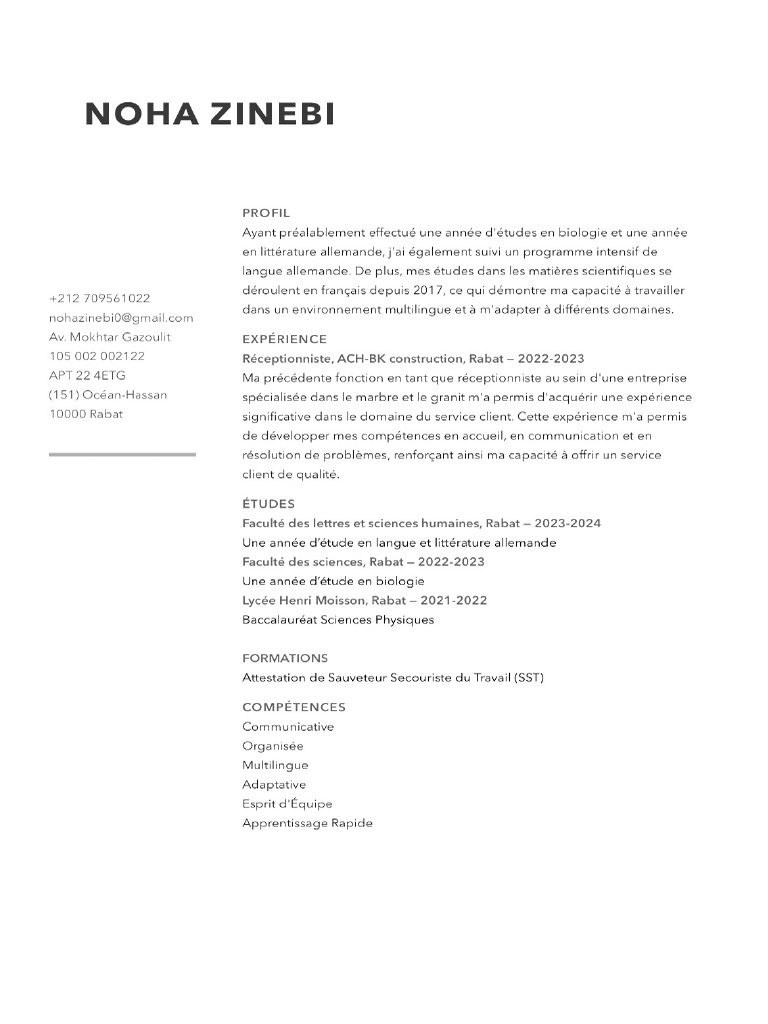 CV Noha Zinebi 3 | PDF