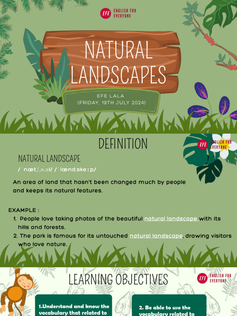 Understanding Natural Landscapes | PDF | Landscape | River