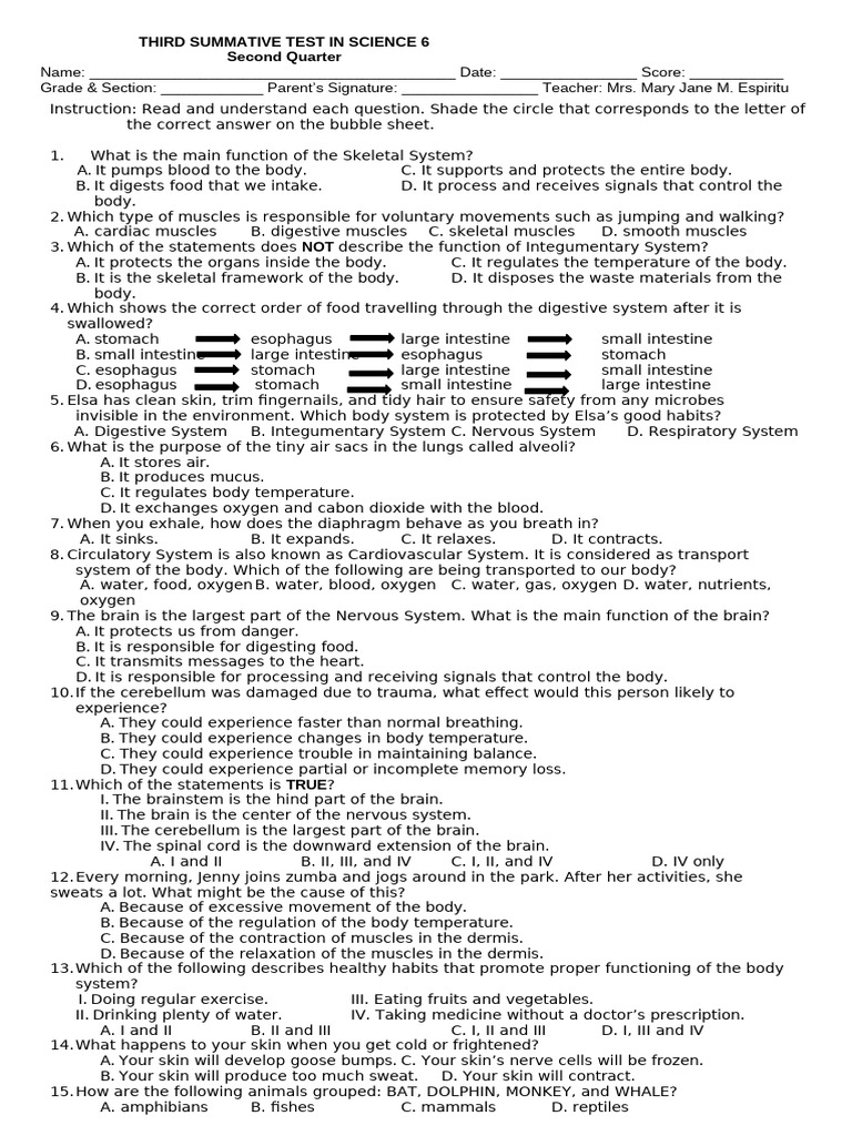Grade 6 SCIENCE ST Q2 ST4 | PDF | Mammals | Skin