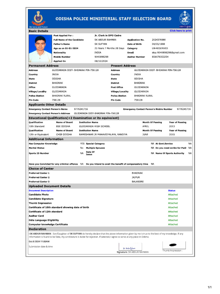 Junior Cleark Applica | PDF