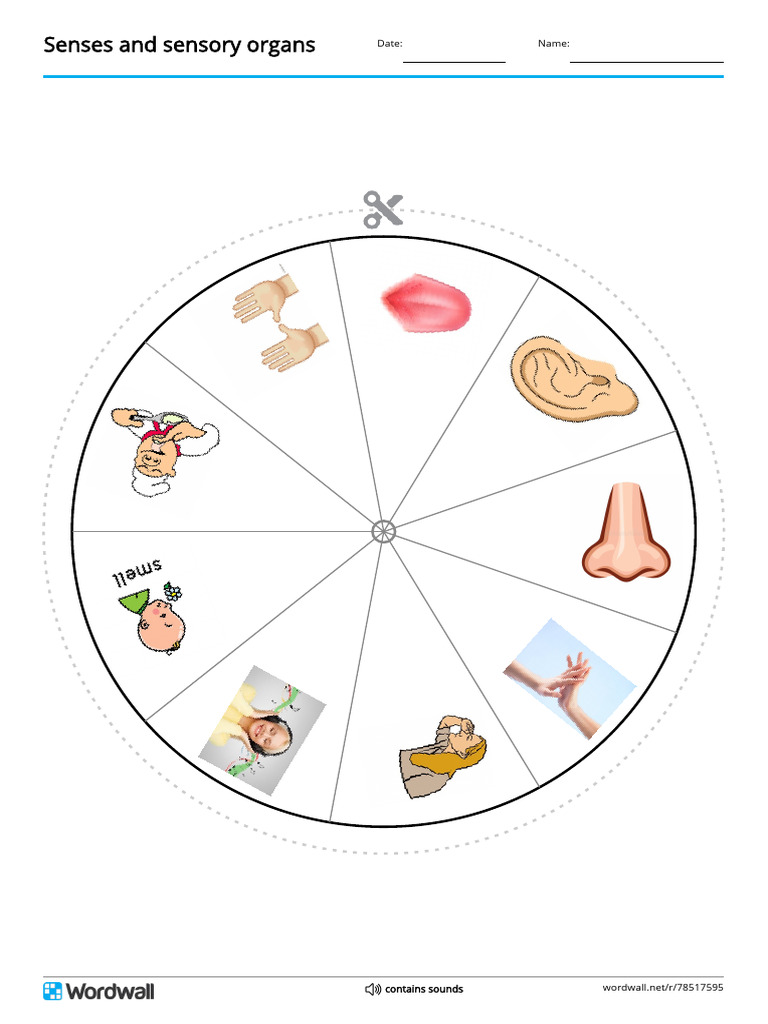 Senses and Sensory Organs Spin The Wheel | PDF | Art