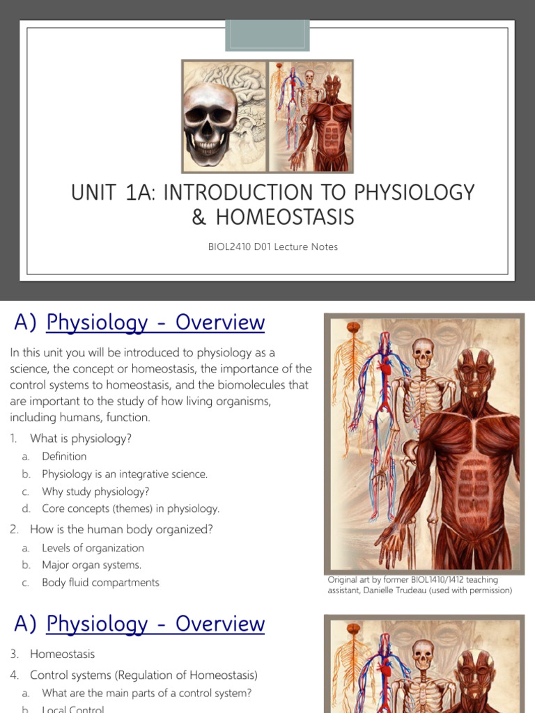 Unit 1a Notes - Intro to Physiology, & Homeostasis | PDF | Human Body ...