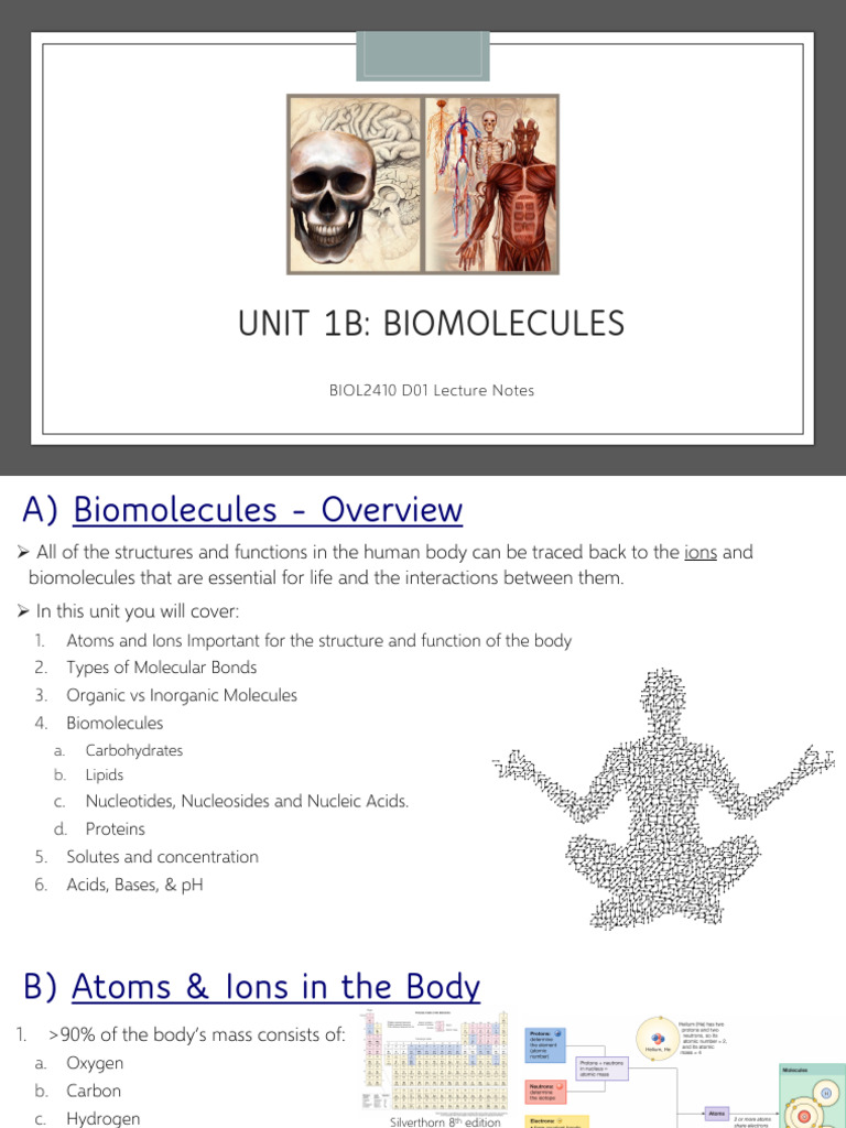 Unit 1b Notes - Biomolecules | PDF | Ligand (Biochemistry) | Binding Site