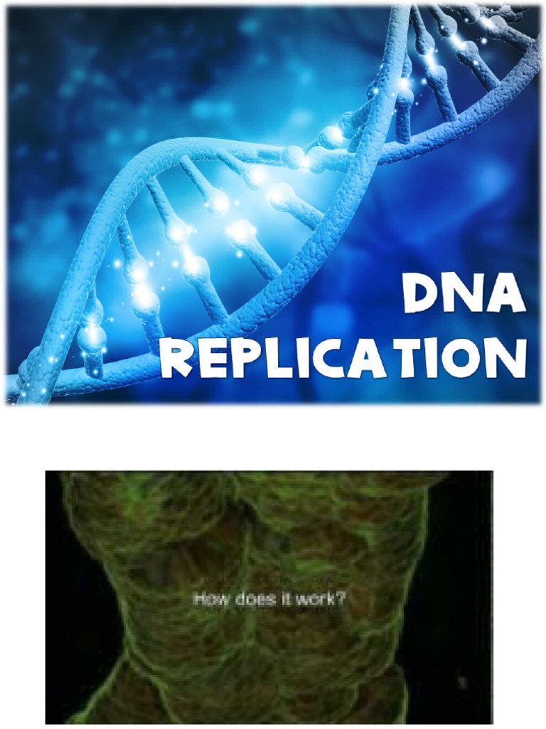 DNA+Replication+Lesson | PDF | Dna Replication | Dna