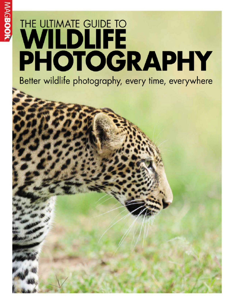 The Ultimate Guide To Wildlife Photography (Stevenson D.) | PDF