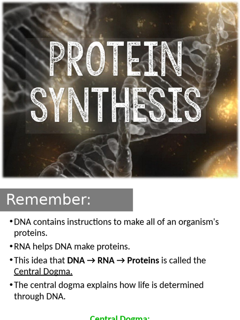 Protein Synthesis Lesson | PDF | Translation (Biology) | Genetic Code