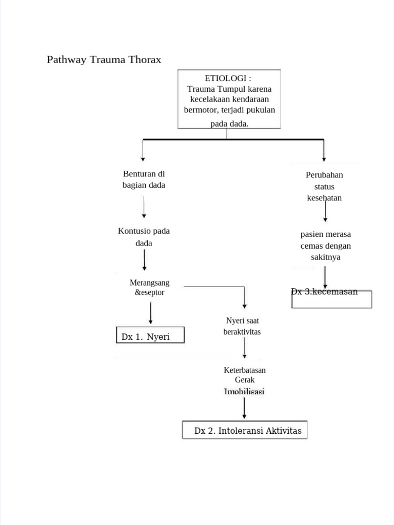 PDF Pathway Trauma Thorax | PDF