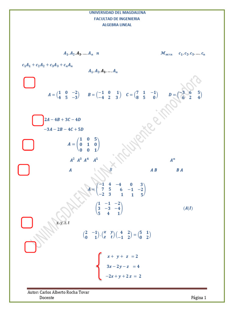 Taller No 2. Algebra Lineal. Matrices y Determinantes. Sept. de 2024 ...