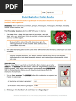 Pigeon Genetics: Answer Key | PDF | Dominance (Genetics) | Genotype