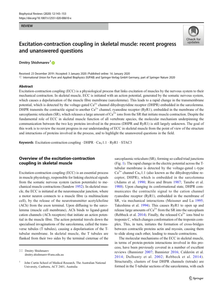 Excitation-Contraction Coupling in Skeletal Muscle | PDF | Muscle ...