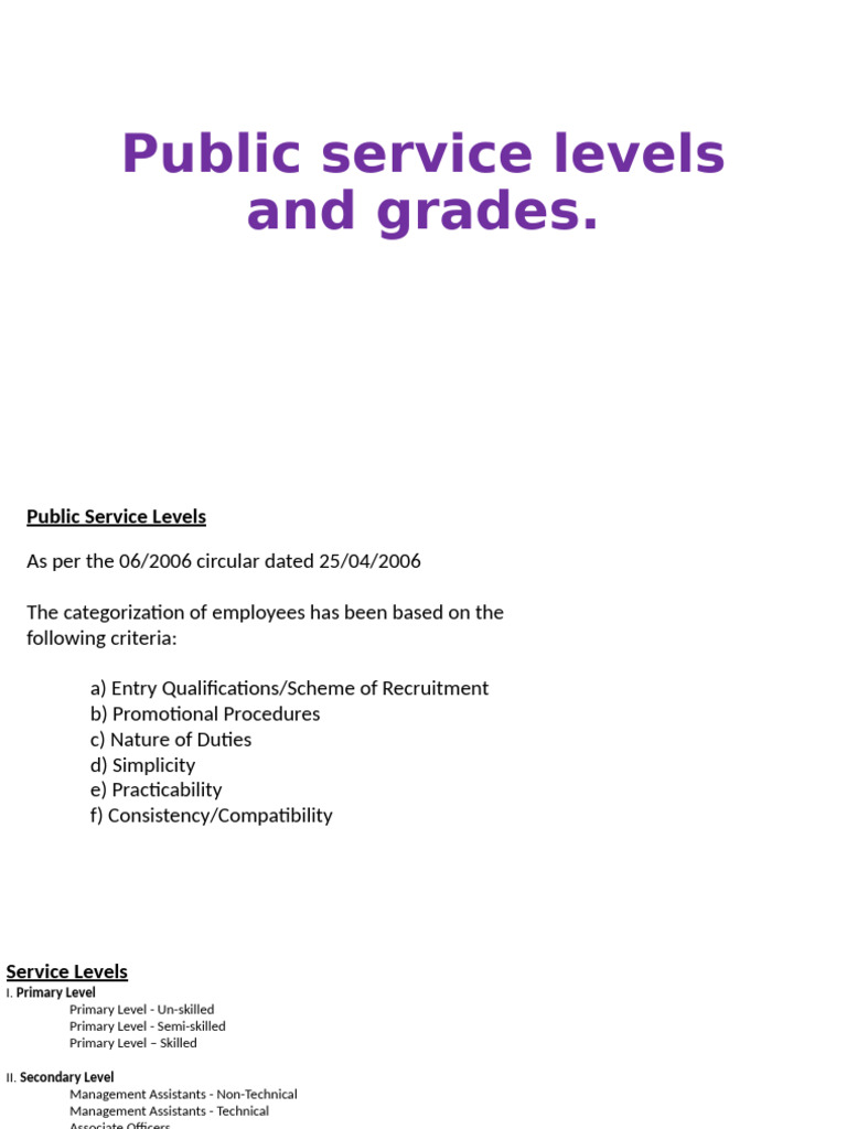 Public Service Levels and Grades Overview | PDF