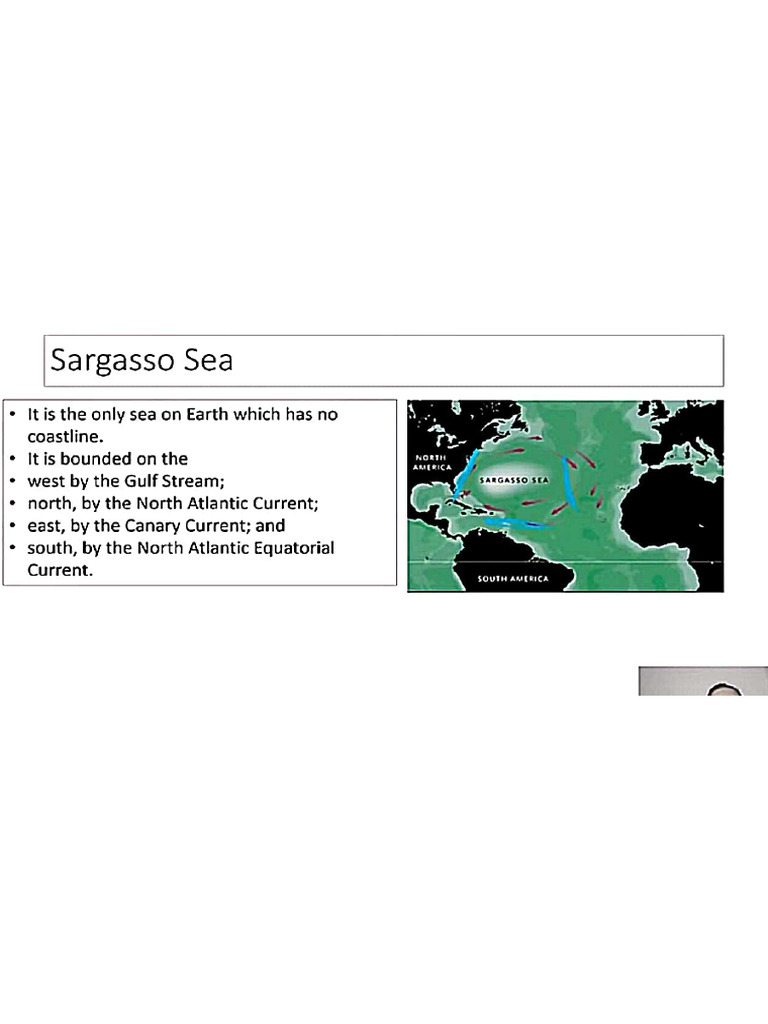 Sargasso Sea Diagram | PDF