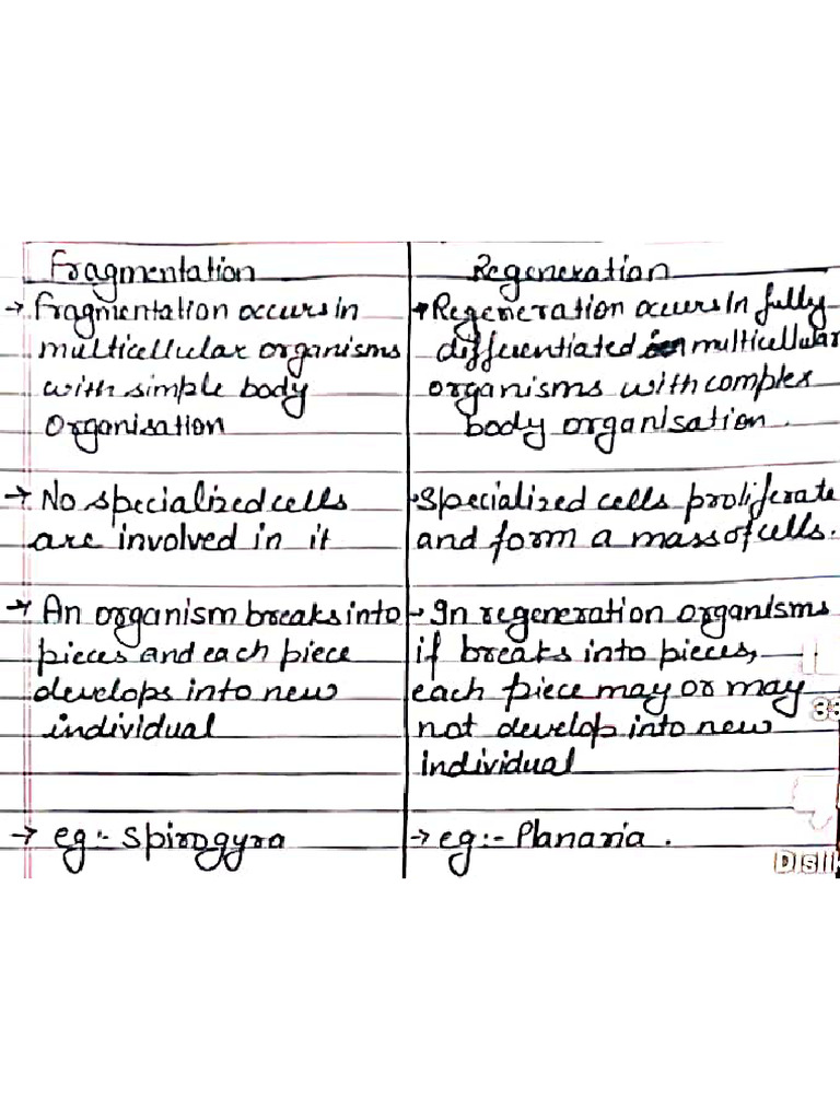 Regeneration and Fragmentation Difference Handwritten | PDF