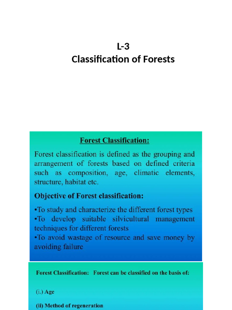 Classification of Forests | PDF